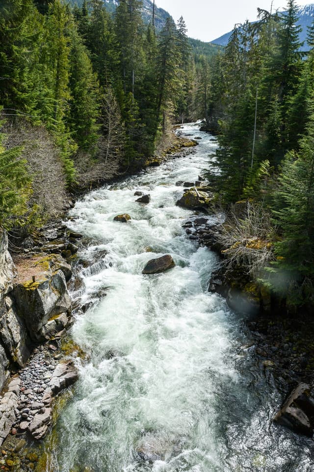 Cheakamus River: Rafting, Hiking and Scenic Wilderness in British ...